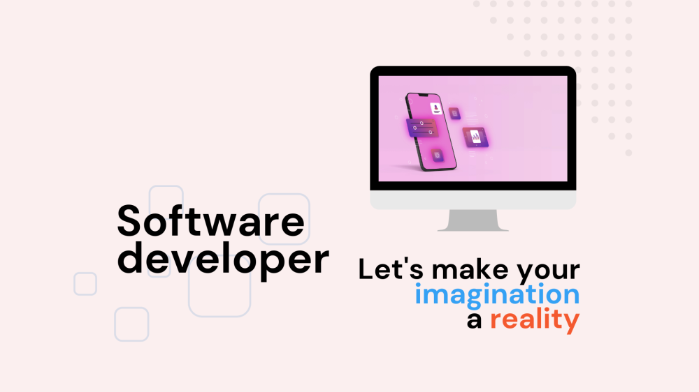 Softwar developer