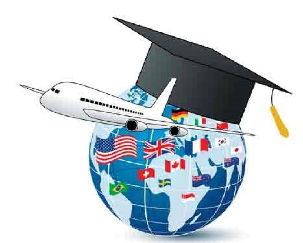 Foreign Education Consultant